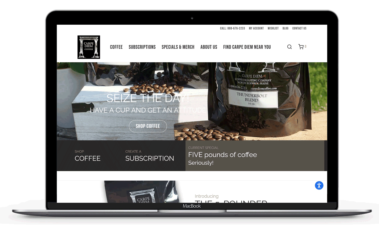 Website Design - Responsive - Custom - ECommerce
